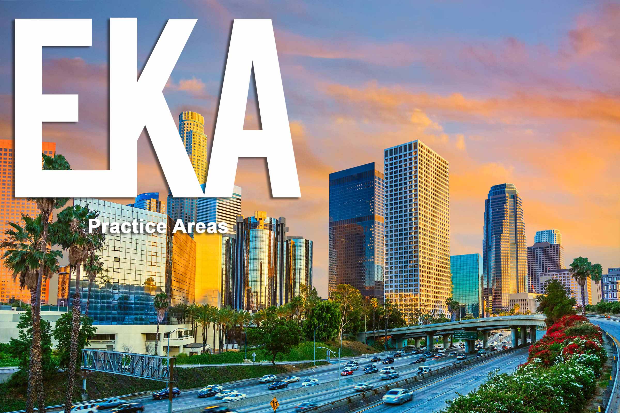 Explore the specialized practice areas of EKA