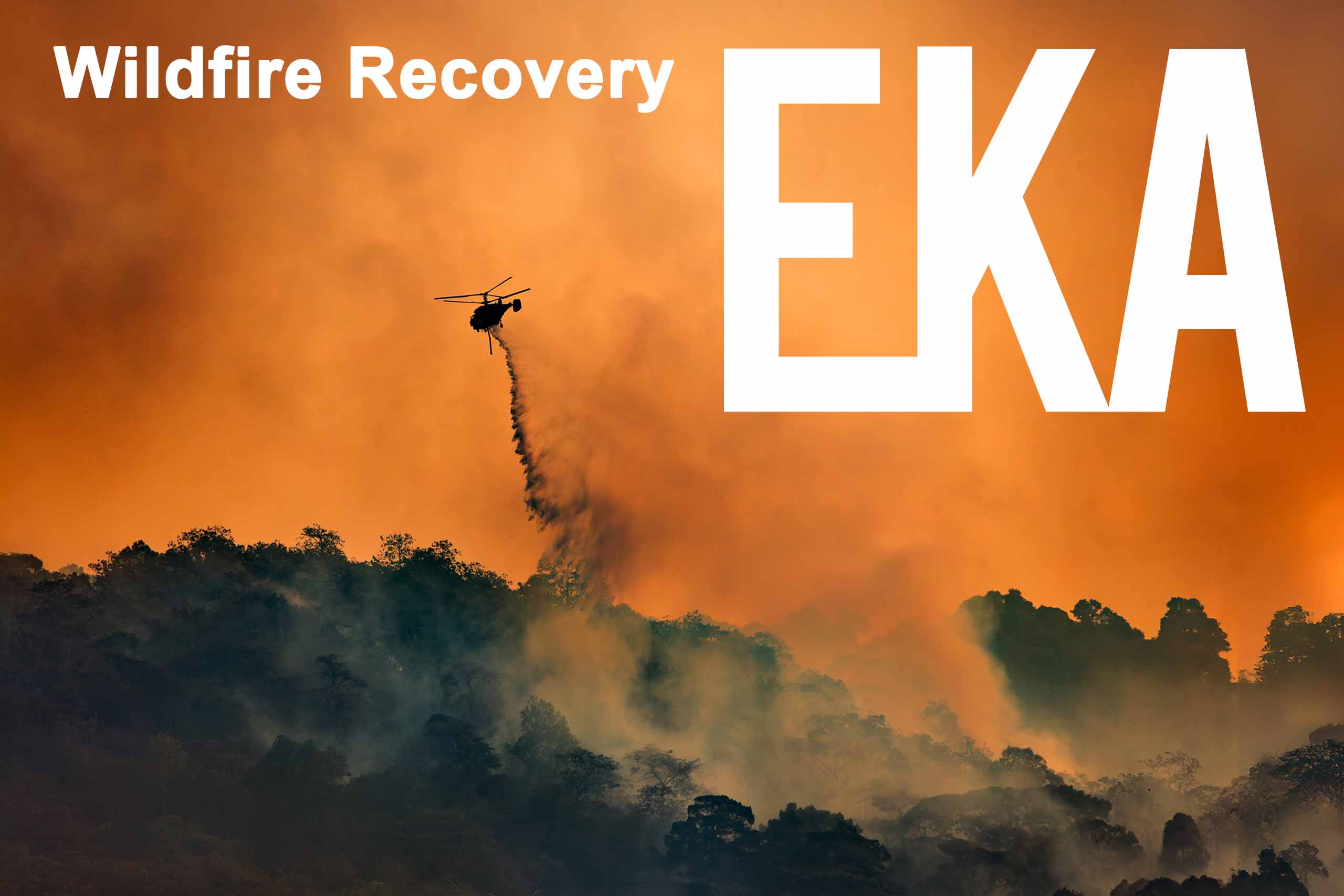 Get vital wildfire recovery information from EKA (Archive)